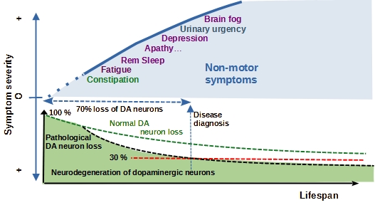 Parkinson’s for Beginners – The Patient Researcher