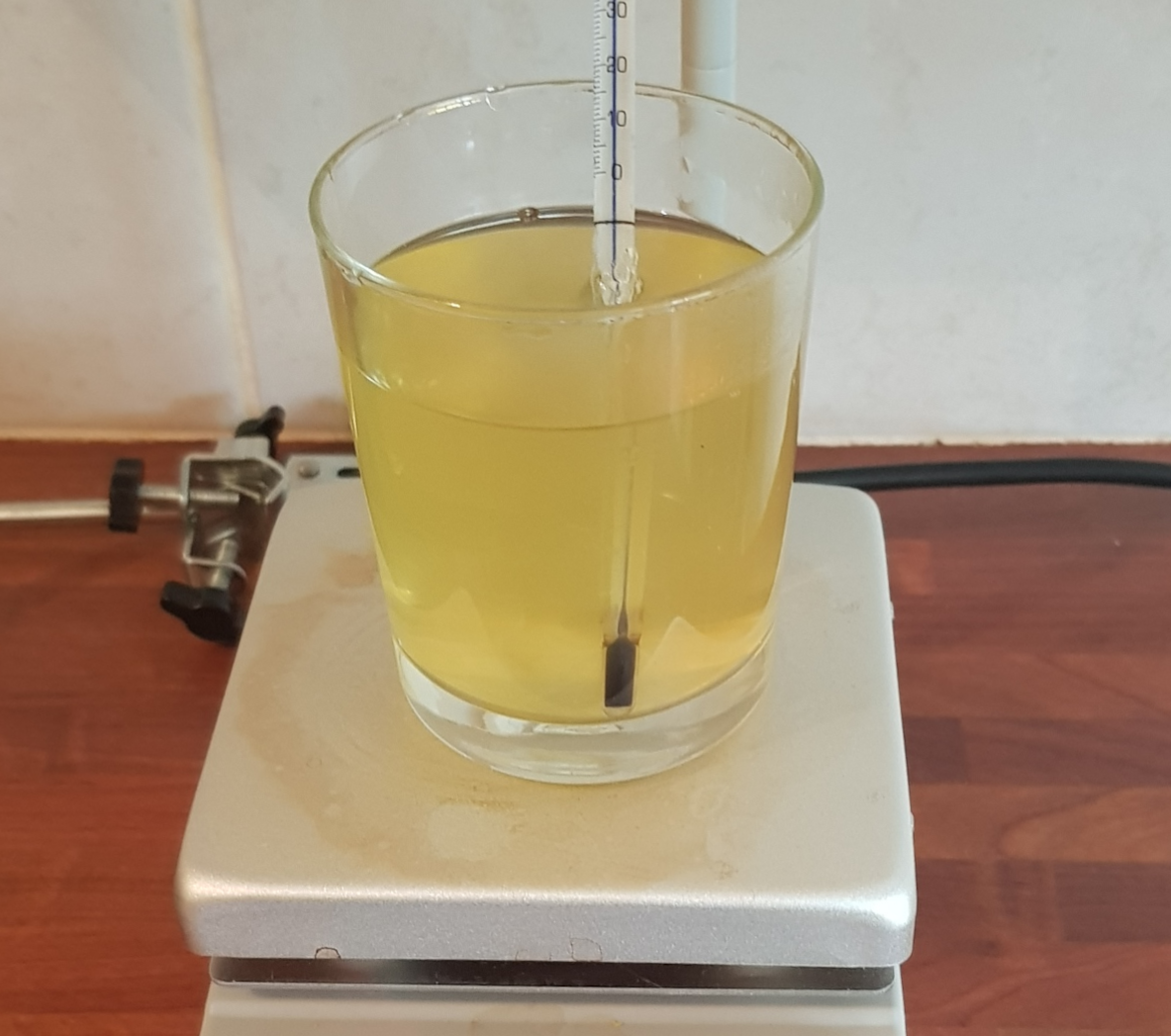 Broccoli Seed Tea – The Patient Researcher